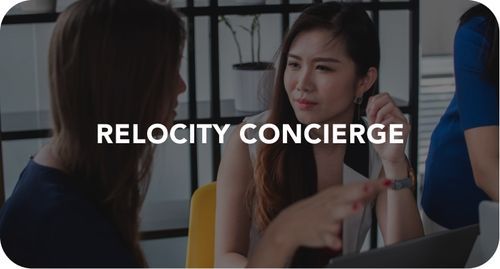 Solutions | Relocity